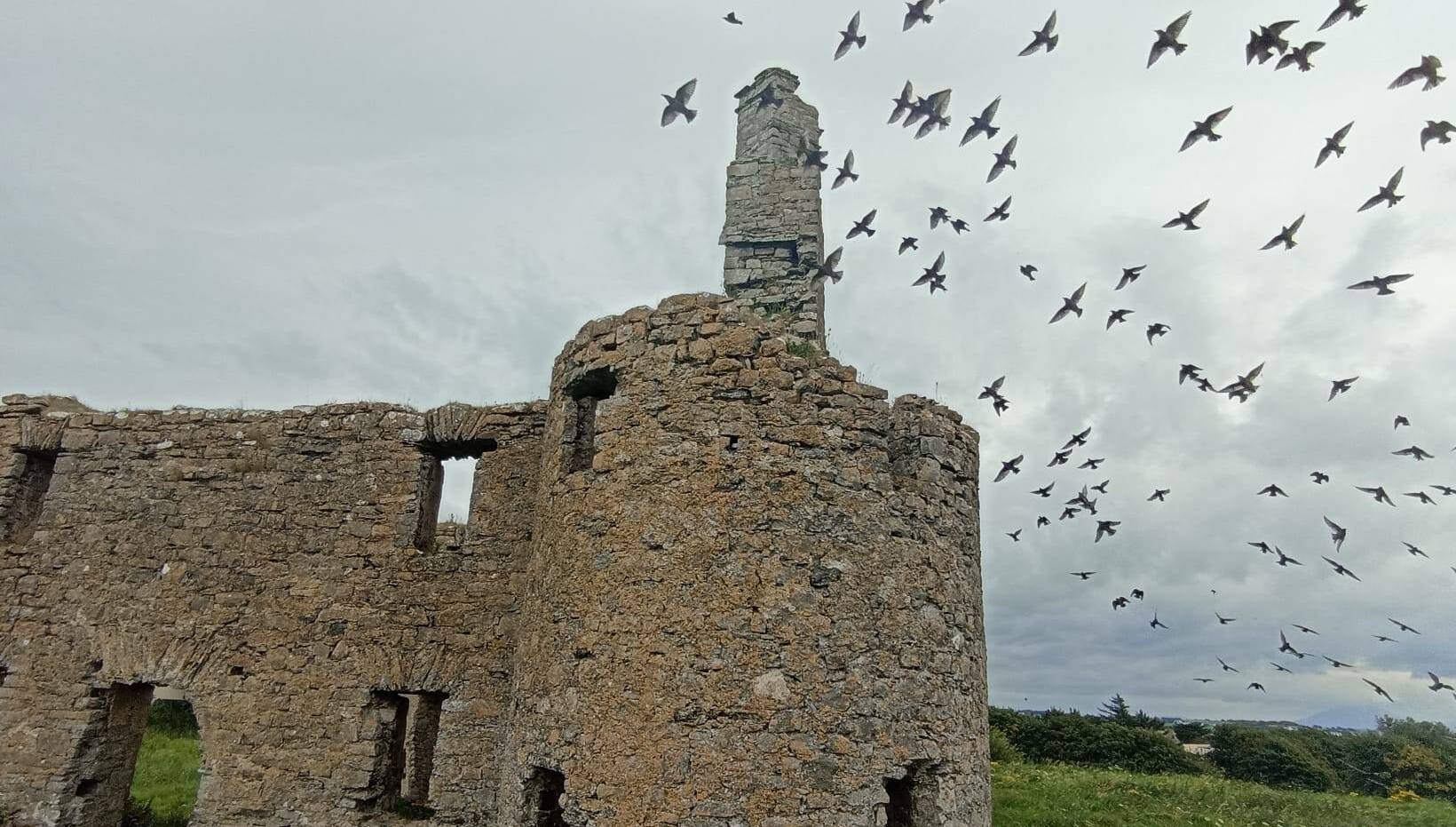 Major study reveals Enniscrone's hidden history - news - Western People