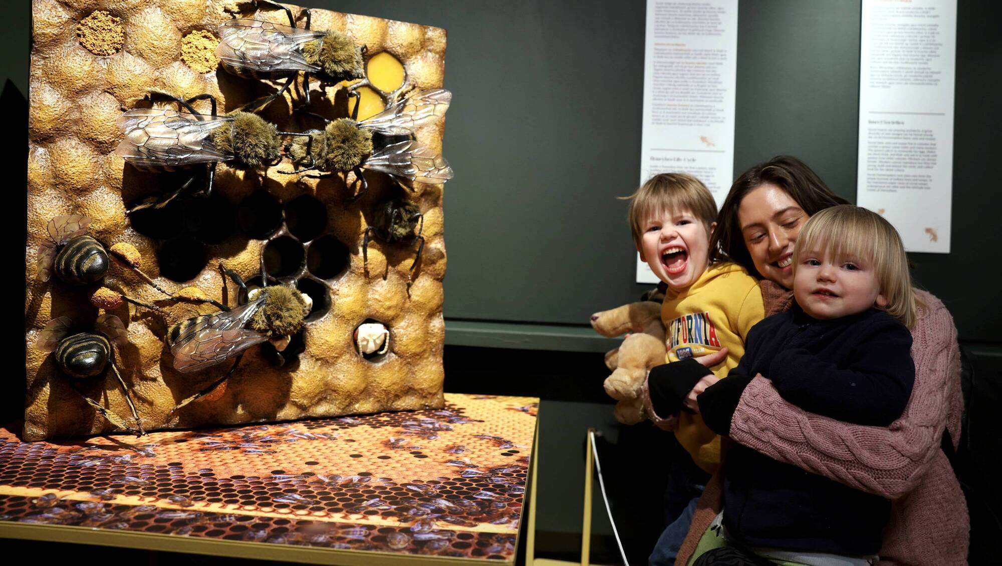 Everyone should take a trip to the Murmur of Bees exhibition - opinion ...