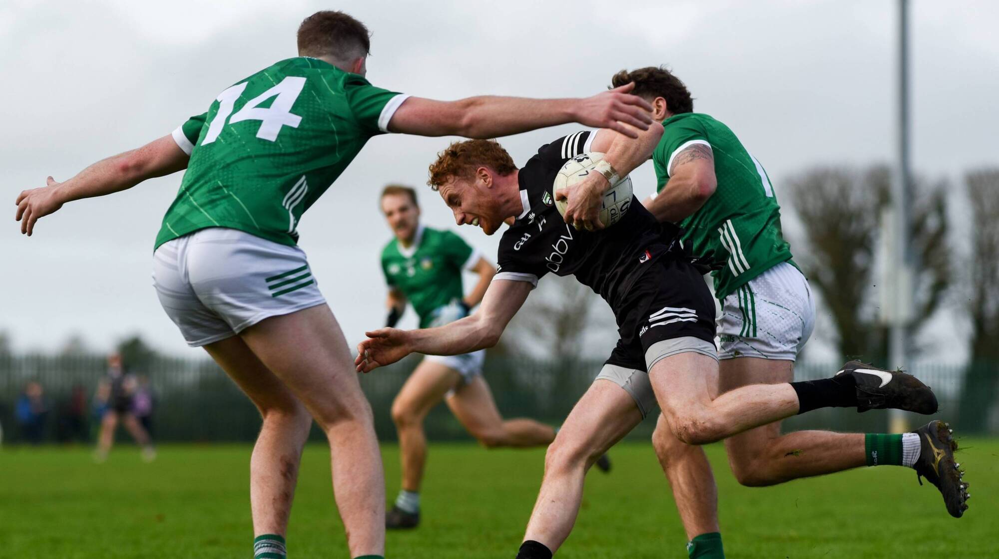 Two wins from three is a Treat’ for Sligo - GAA - Western People