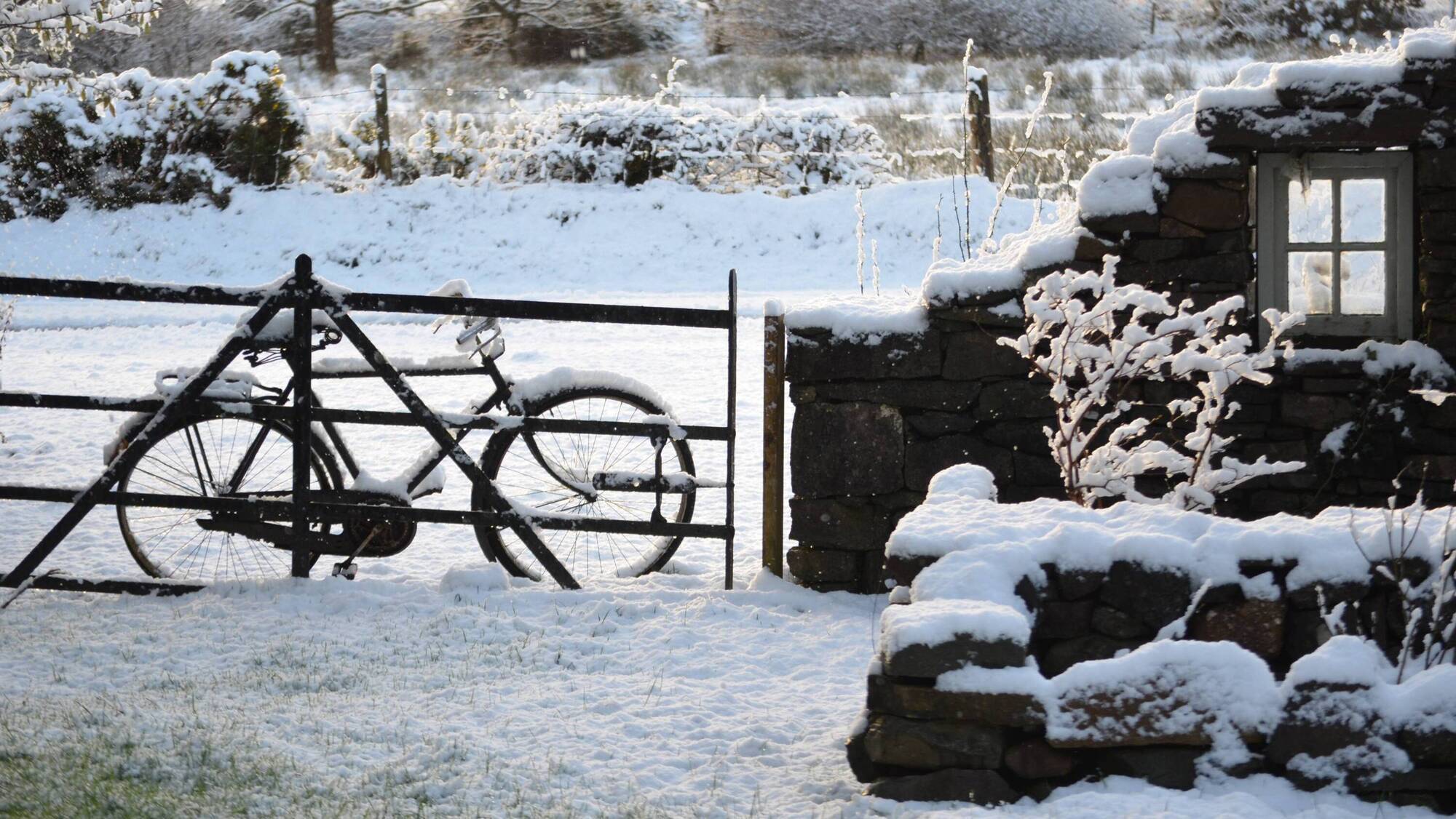 1947 was the year when a February snowstorm wreaked havoc in the West ...