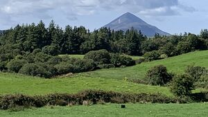 Croagh Patrick Heritage Trail Walking Festival benefits Croí - news ...
