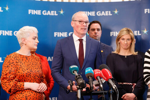 Mayo woman to contest European Elections for Fine Gael - news - Western ...