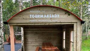 Coillte tackles invasive species in Mayo wood - news - Western People